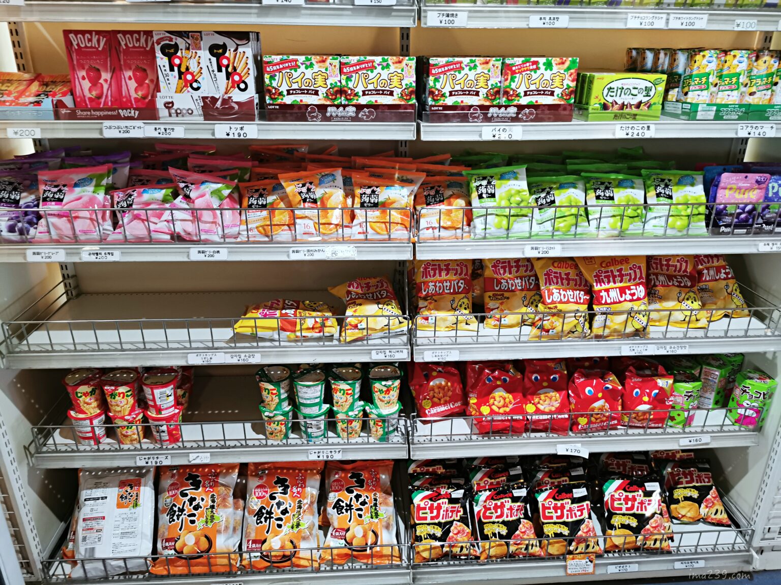 カメリアライン「ニューかめりあ」乗船記（博多→釜山／2等客室） | IMA log