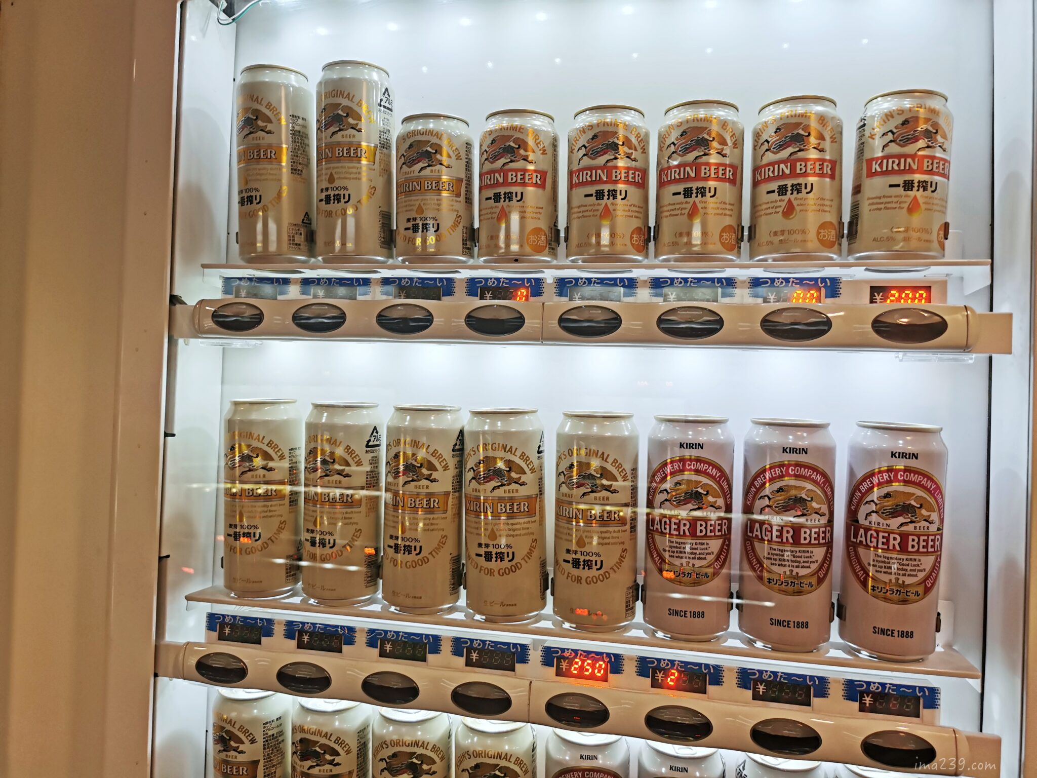 カメリアライン「ニューかめりあ」乗船記（釜山→博多／1等和室） | IMA log