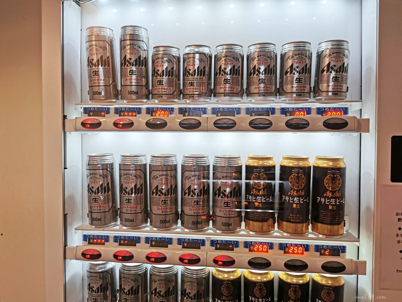 カメリアライン「ニューかめりあ」乗船記（釜山→博多／1等和室） | IMA log