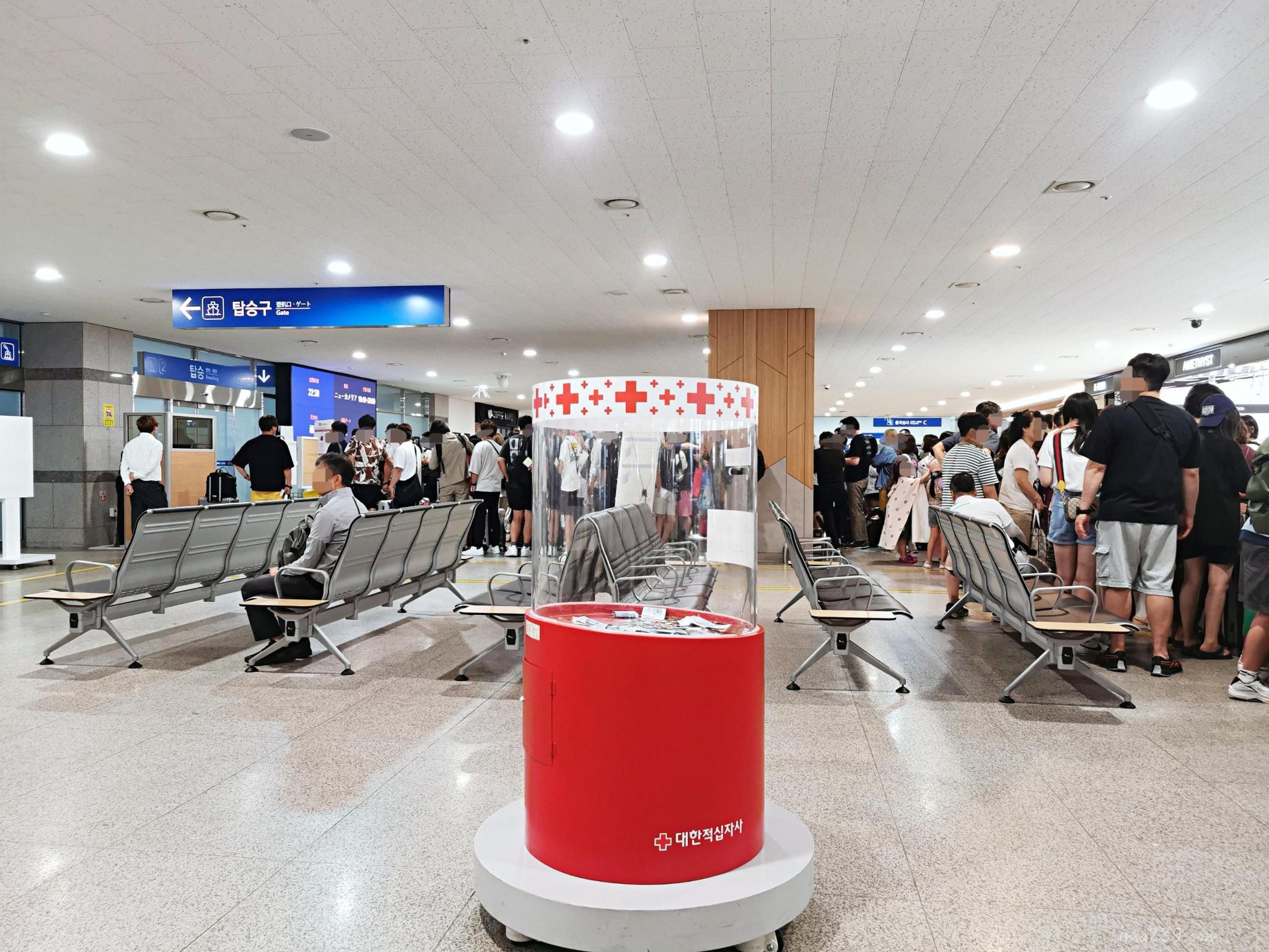 カメリアライン「ニューかめりあ」乗船記（釜山→博多／1等和室） | IMA log